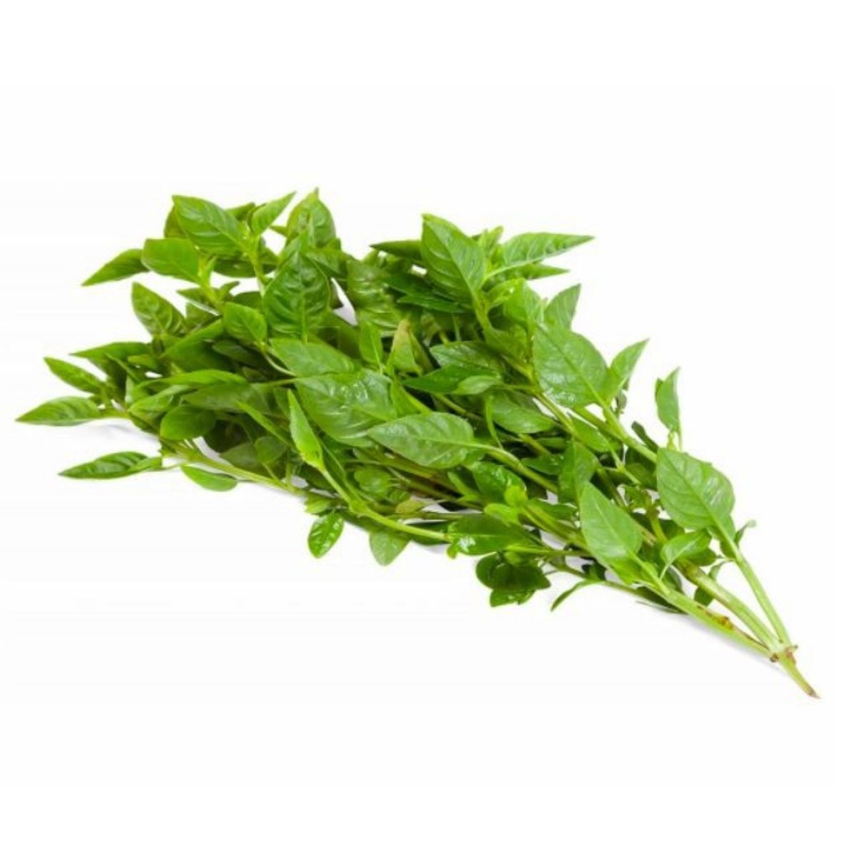 Ervas Org Frs Jardim-Ervas R145 Manj Ceu Azul - Supernosso